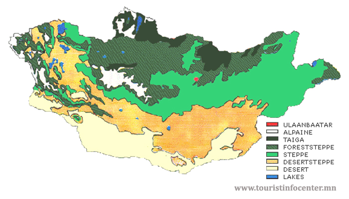 Mongolian flora & fauna :: www.touristinfocenter.mn
