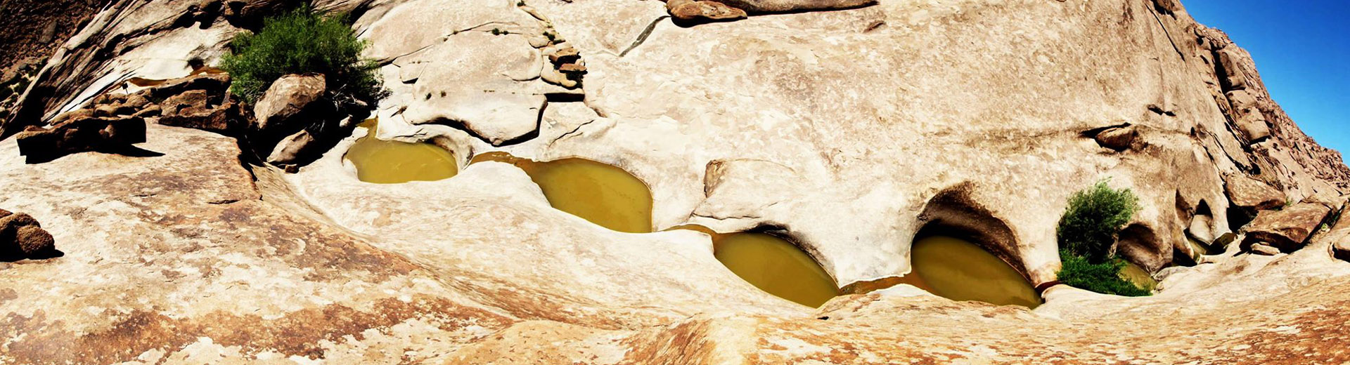 Home Page [www.touristinfocenter.mn]