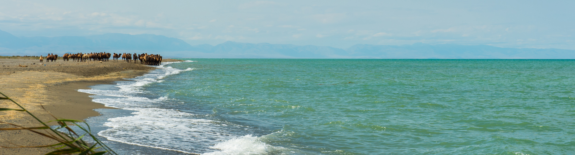 Khamar monastery :: www.touristinfocenter.mn